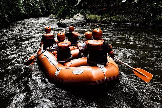 Bali Ayung River White Water Rafting with Transport - An In-Depth Look at Bali Ayung River White Water Rafting