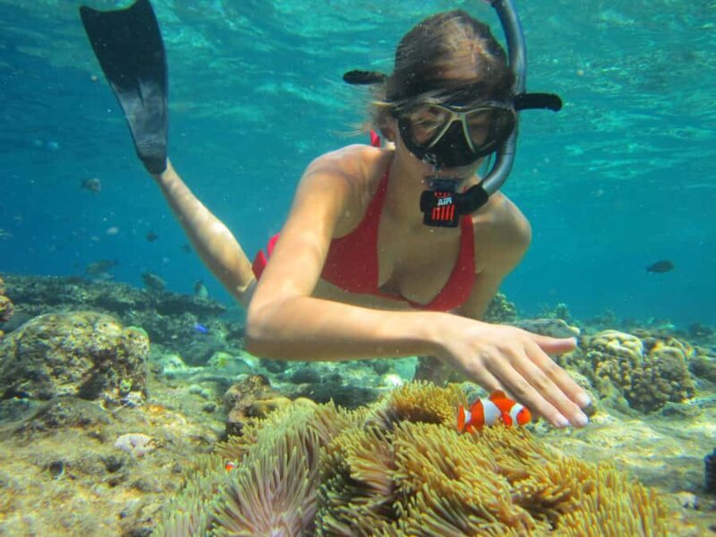 Bali: Basic Snorkeling at Menjangan Island - The Itinerary: What You Should Know