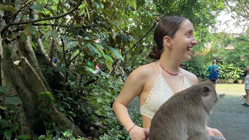 Bali: Batuan temple, Monkey Forest, Kato Lampo waterfall - The Sum Up