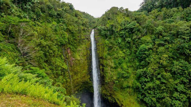 Bali: Beautiful North Bali, Temples, Waterfalls all included - Key Points