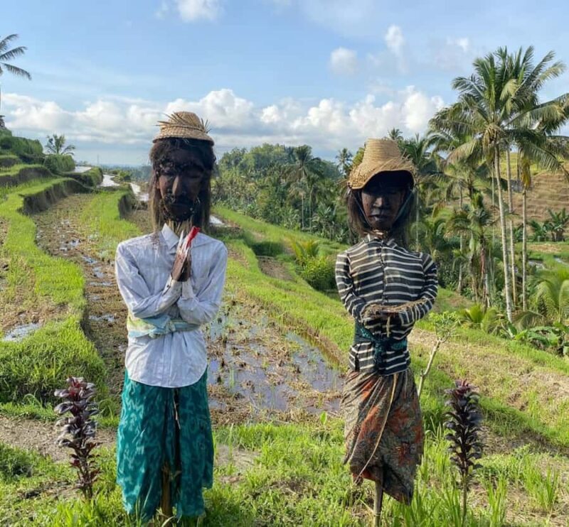 Bali: Bedugul Cultural & Nature Discovery Full Day Tour - Key Points