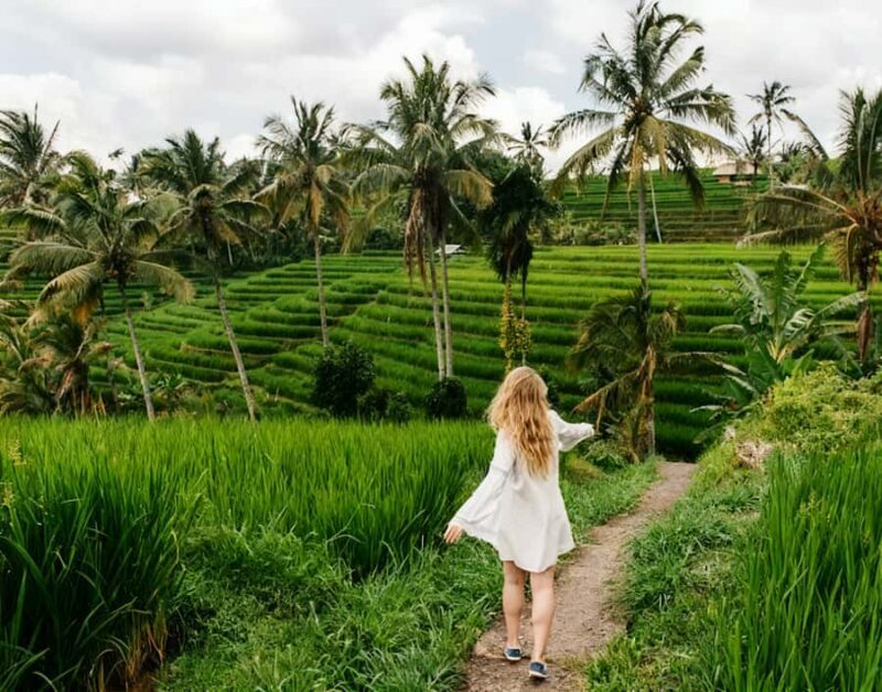 Bali: Bedugul Cultural & Nature Discovery Full Day Tour - Exploring Bali’s Highlands: A Journey Through Scenery and Culture