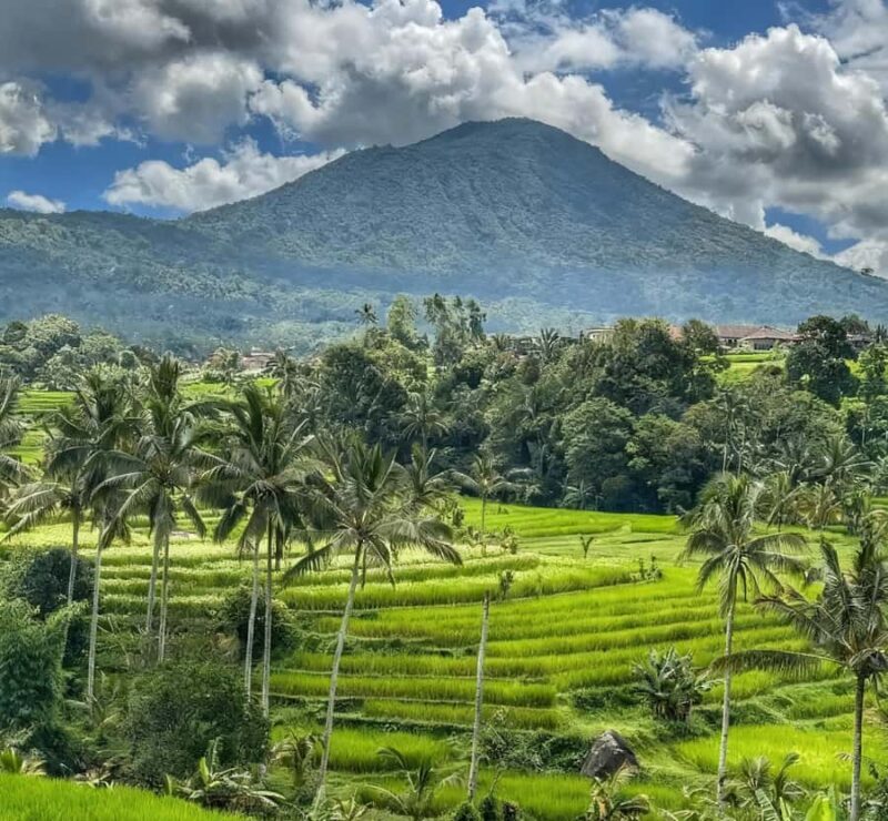 Bali: Bedugul Cultural & Nature Discovery Full Day Tour - FAQ