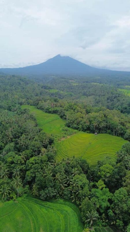 Bali: Belimbing Village Trek with Waterfall & Temple Visit - The Sum Up