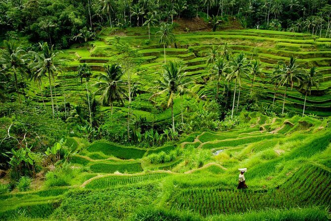 Bali Benoa Shore Excursion for Cruise Passenger All Inclusive - The Sum Up