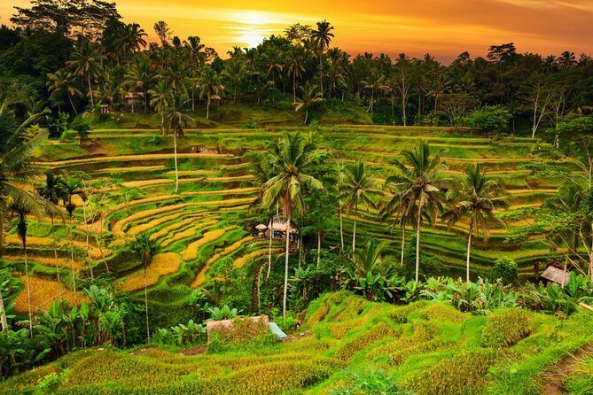 Bali Benoa Shore Excursions Private Ubud Tour - FAQ