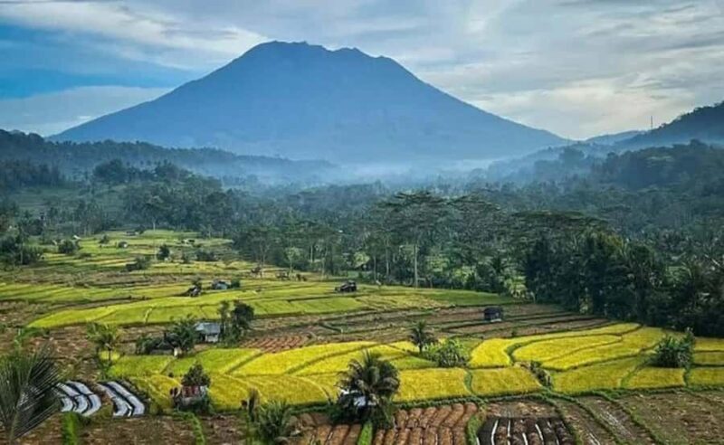 Bali: Besakih Temple and Sidemen Tour - Making the Most of Your Day