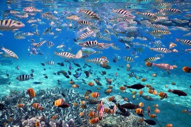 bali best destination - Special packed trip to nusa penida - Practical Tips for Bookers