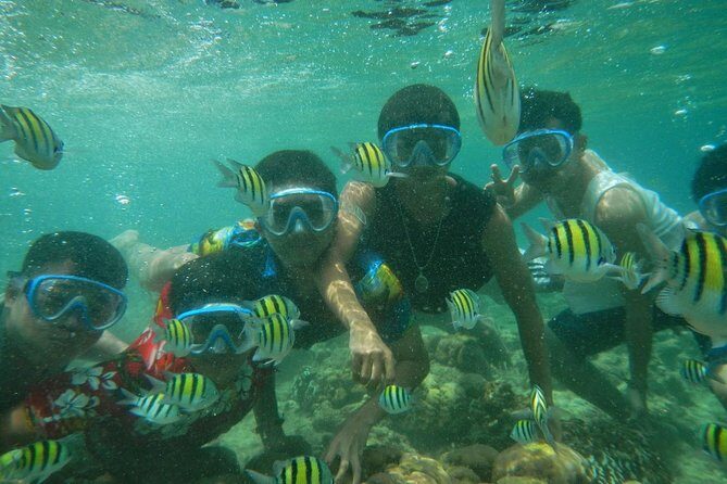 Bali Best SNORKELING at BLUE LAGOON and EAST BALI TOURS - FAQ