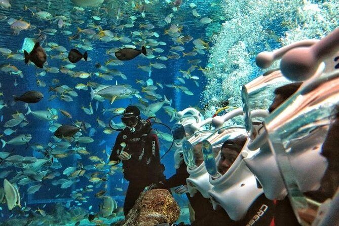 Bali Best Watersport Sea walker,Parasailing adventure,Jet sky - A Complete Look at the Experience