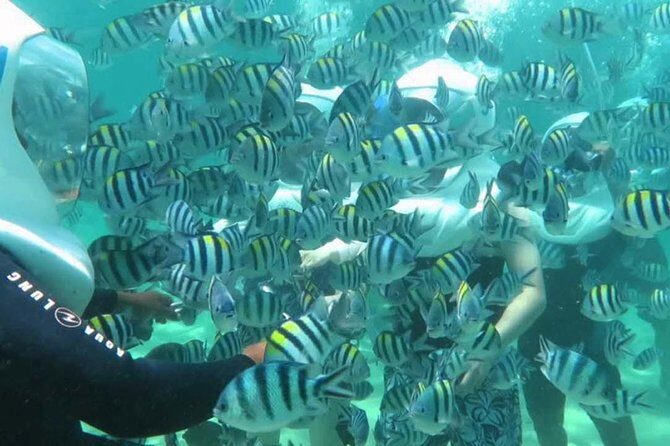 Bali Best Watersport Sea walker,Parasailing adventure,Jet sky - Final Thoughts