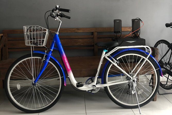 Bali Bicycle Rental - Key Points