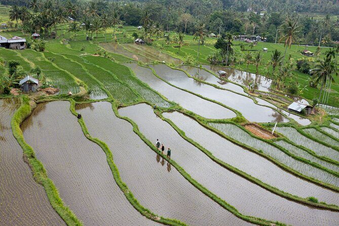 Bali Bike Tour Ubud Area - The Sum Up