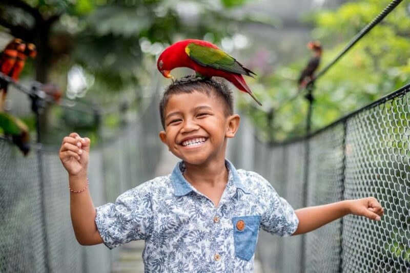 Bali Bird Park 1-Day Admission Ticket - Discovering the Park’s Layout and Highlights