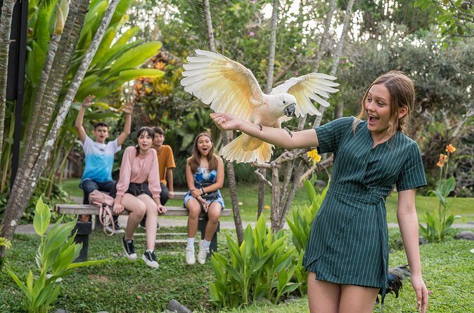 Bali Bird Park Admission Pass - Authentic Encounters and Real Visitor Insights