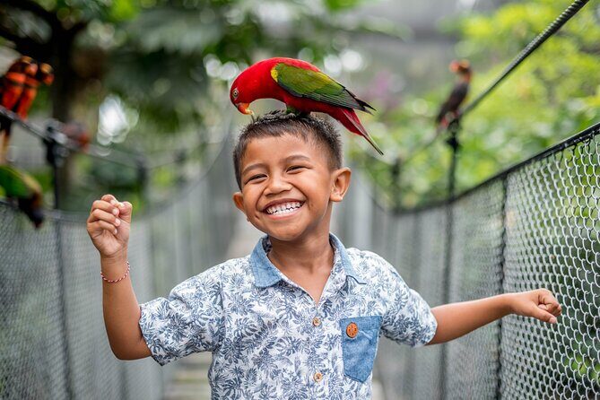 Bali Bird Park Admission Ticket - Overview: What is Bali Bird Park?