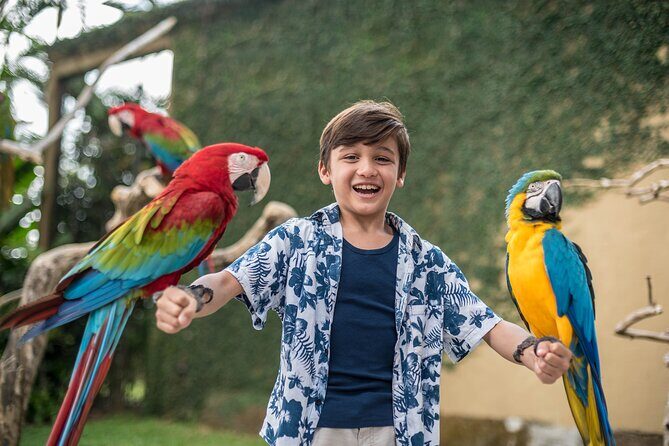 Bali Bird Park Admission Ticket - FAQs