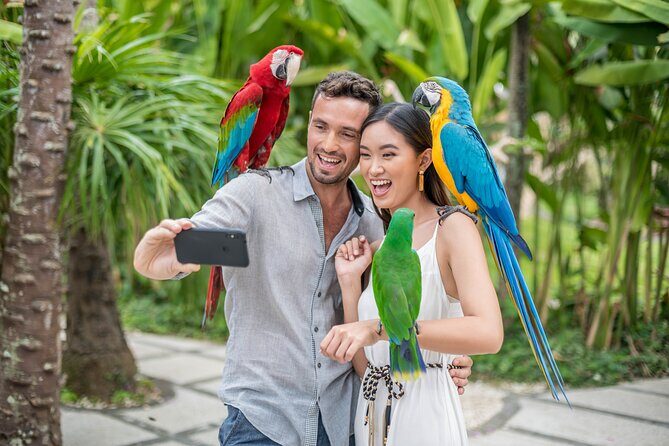Bali Bird Park Admission Ticket - Final Verdict