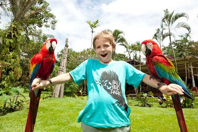 Bali Bird Park Admission Ticket with Hotel Transfer - Authenticity and Visitor Experience