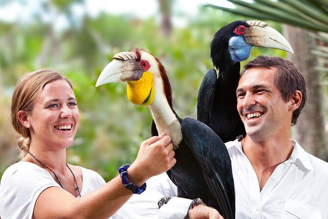 Bali Bird Park Entrance Tickets - What You Can Expect at Bali Bird Park