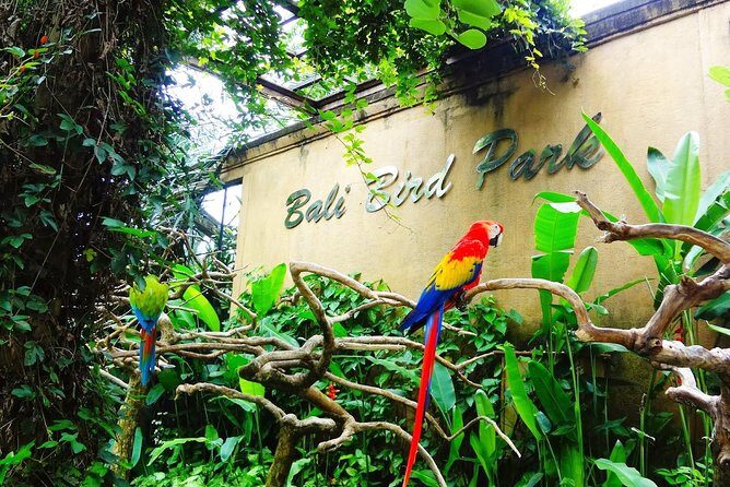 Bali Bird Park Entrance Tickets - Why the Price of $29 Is Worth It