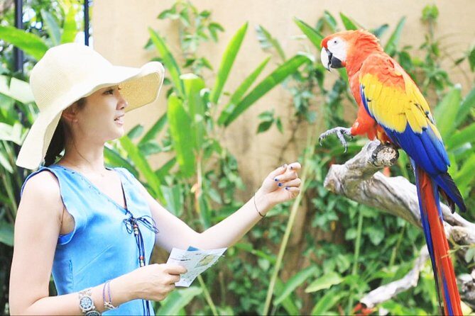 Bali Bird Park Entrance Tickets - Practical Tips for Visitors