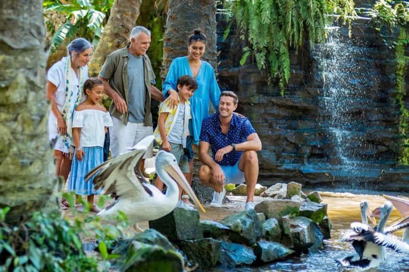 Bali Bird Park & Pirate Dinner Cruise the Unique Adventure - A Full Breakdown of the Bali Bird Park & Pirate Dinner Cruise Adventure