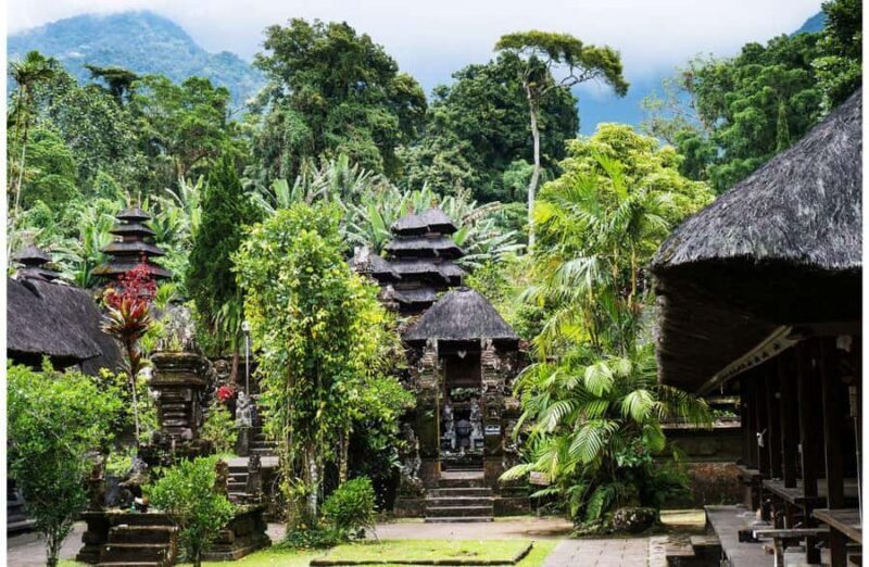 Bali: Bird Village, Batukaru Temple & Rice Terraces Tour - Key Points