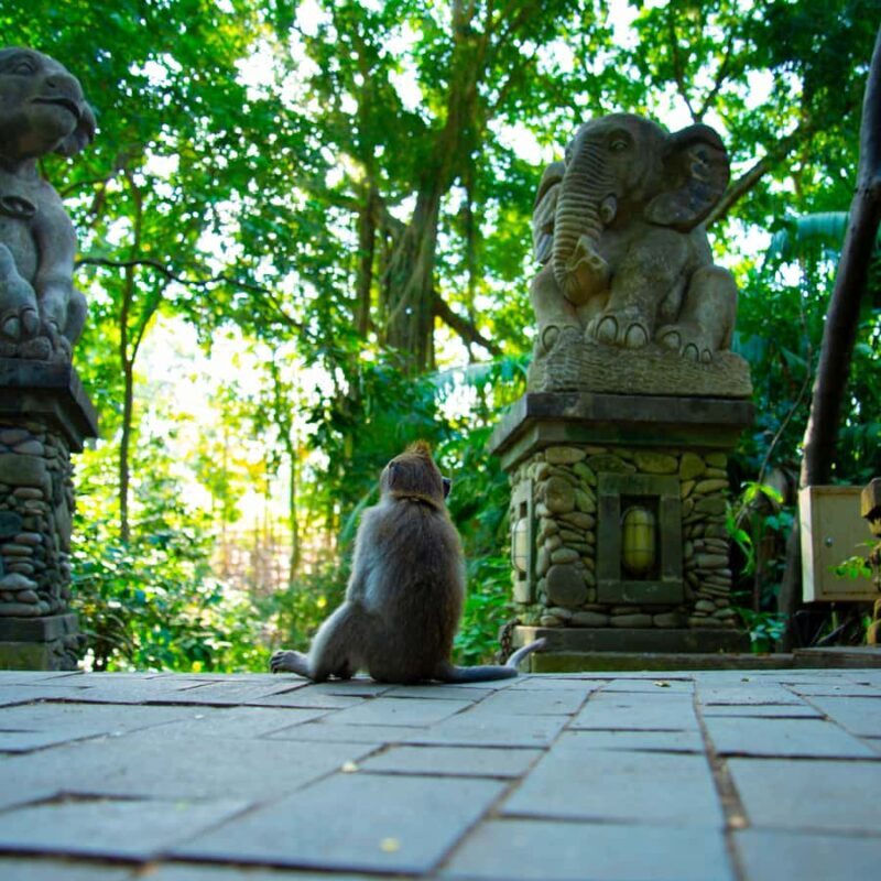 Bali Bliss: Tropical Escape & Cultural Wonders Tour - Key Points