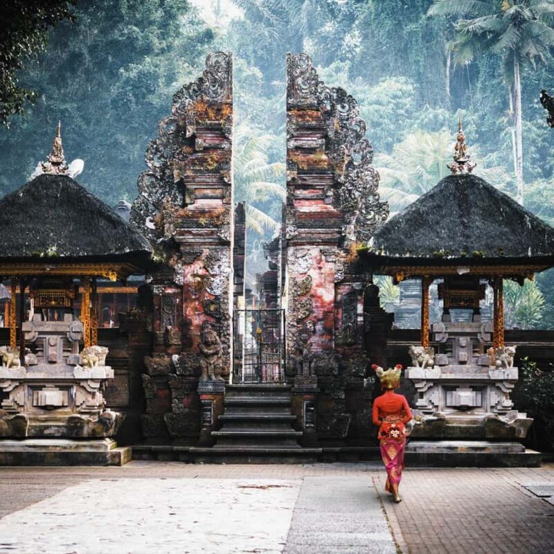 Bali Bliss: Tropical Escape & Cultural Wonders Tour - The Overall Experience: Who Will Love It?