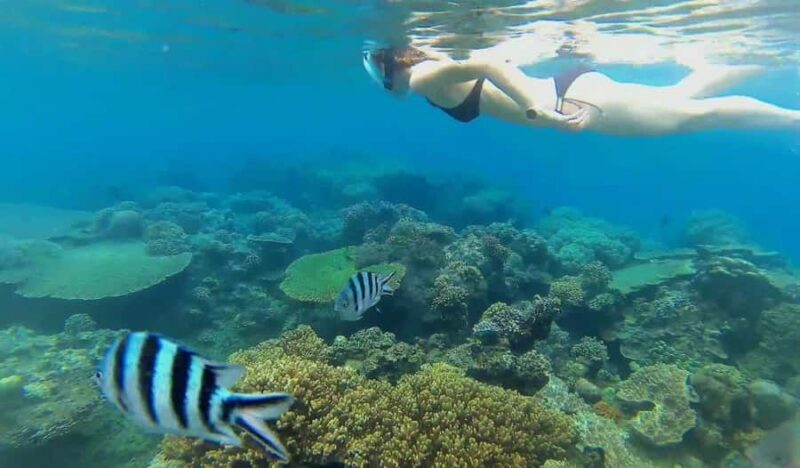 Bali Blue Lagoon and Tanjung Jepun Snorkeling Tour with - FAQ