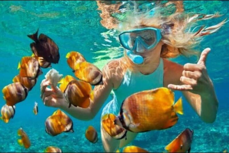 Bali: Blue Lagoon and Tanjung Jepun Snorkeling Trip - A Closer Look at the Bali Snorkeling Experience