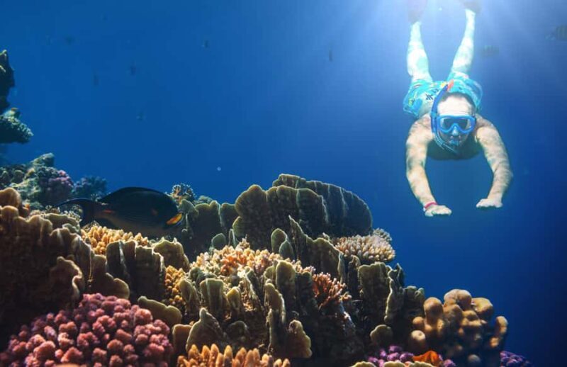 Bali Blue Lagoon Snorkeling and Waterfall Tour - FAQs