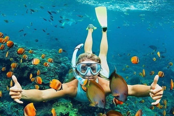 Bali : Blue Lagoon Snorkeling combine with Bali Swing in Ubud - Who Should Consider This Tour?