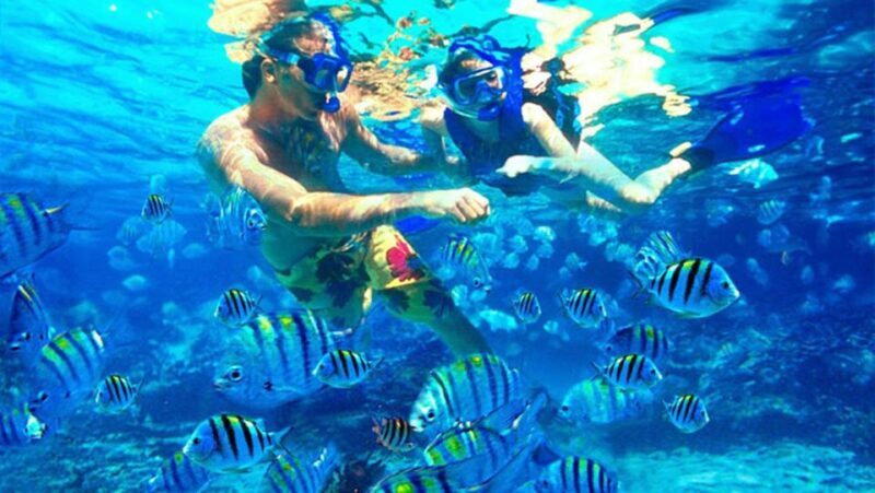 Bali: Blue Lagoon Snorkeling Inclusive of Lunch & Transport - Who is this tour best suited for?