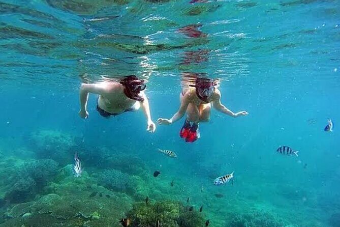 Bali Blue Lagoon Snorkeling, Lempuyang and Waterfall Tour - Authentic Experiences and Traveler Perspectives