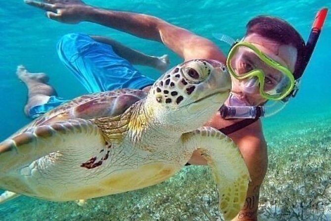 Bali Blue Lagoon Snorkeling - Lunch and Transport All Inclusive - Who Will Love This Tour?