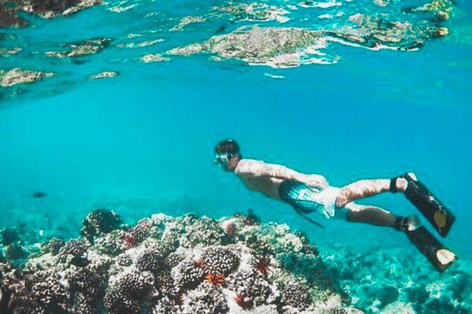 Bali Blue Lagoon Snorkeling - Lunch and Transport All Inclusive - FAQ