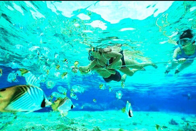 Bali Blue Lagoon Snorkeling - Lunch and Transport All Inclusive - FAQ