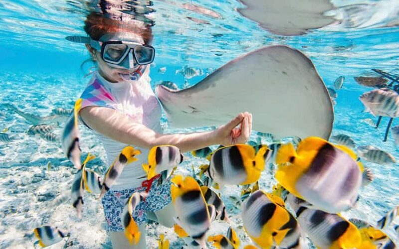 Bali Blue Lagoon Snorkeling Tour - Key Points