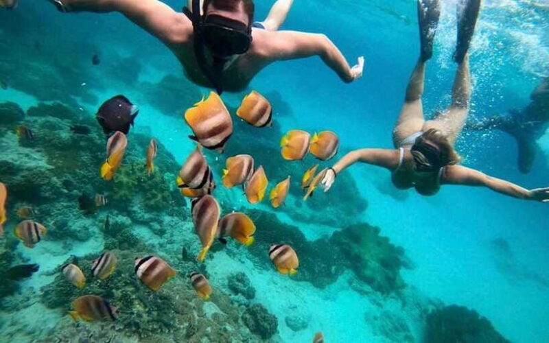 Bali Blue Lagoon Snorkeling Tour - Authenticity and Real Reviews
