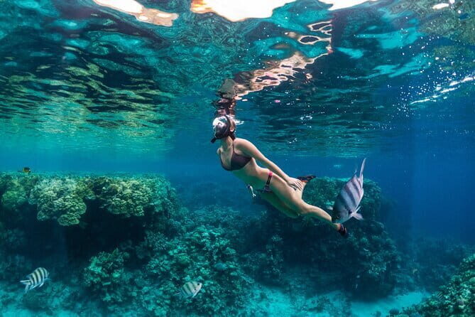 Bali Blue Lagoon Snorkeling Tour All Inclusive - What We Love About This Tour