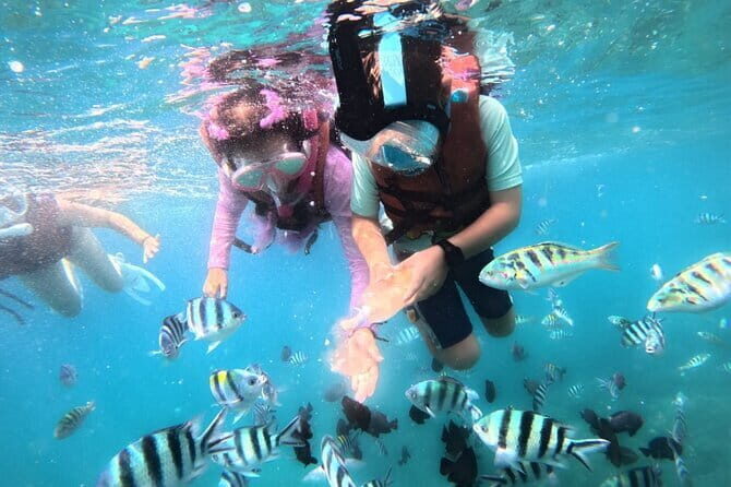 Bali Blue Lagoon Snorkeling Tour All Inclusive - The Experience from the Traveler’s Perspective