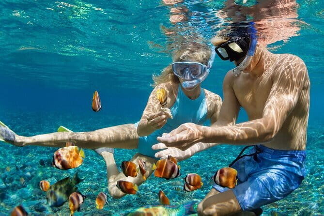 Bali Blue Lagoon Snorkeling Tour - Key Points
