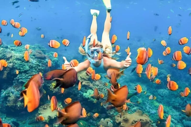 Bali: Blue Lagoon Snorkeling Tour with Bali Quad Bike - Starting Point and Logistics