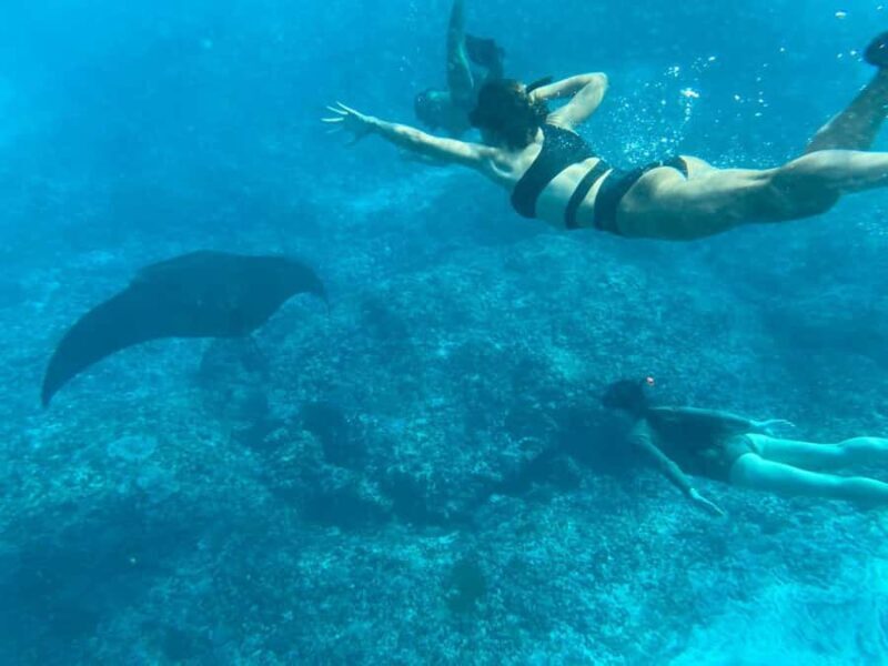 Bali: Blue Lagoon Snorkeling & UTV Buggy Adventure - Key Points