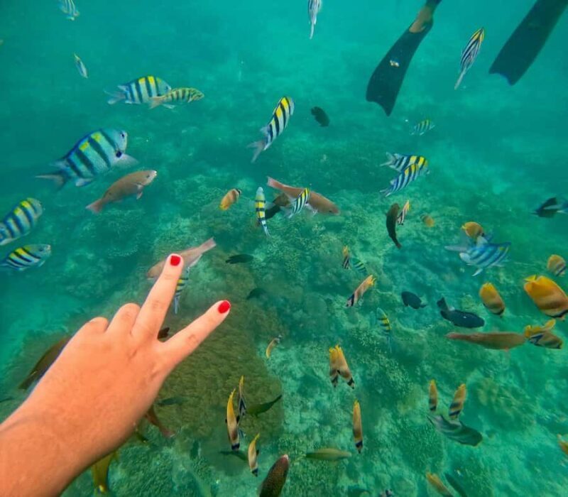 Bali: Blue Lagoon Snorkeling, Waterfall, and Temple Tour - Introduction