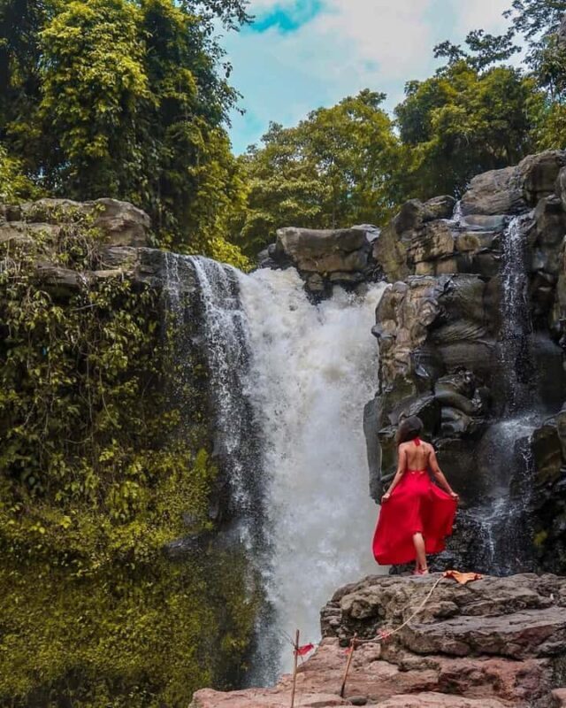 Bali: Blue Lagoon Snorkeling & Waterfalls Day Trip - Who Would Enjoy This Tour?