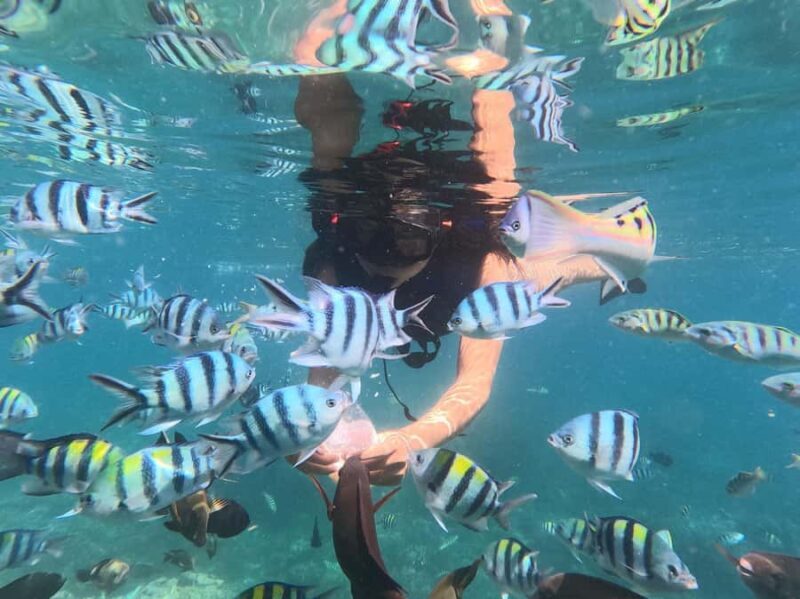 Bali: Blue Lagoon Snorkeling With GoPro Capture & Transfers - The Experience in Detail