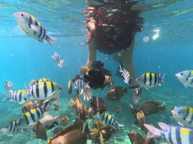 Bali: Blue Lagoon Snorkeling With GoPro Capture & Transfers - FAQ